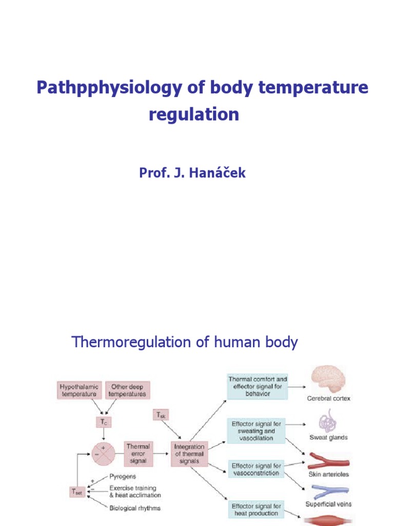 Pathpphysiology of Body Temperature Regulation: Prof. J. Hanáček | PDF ...