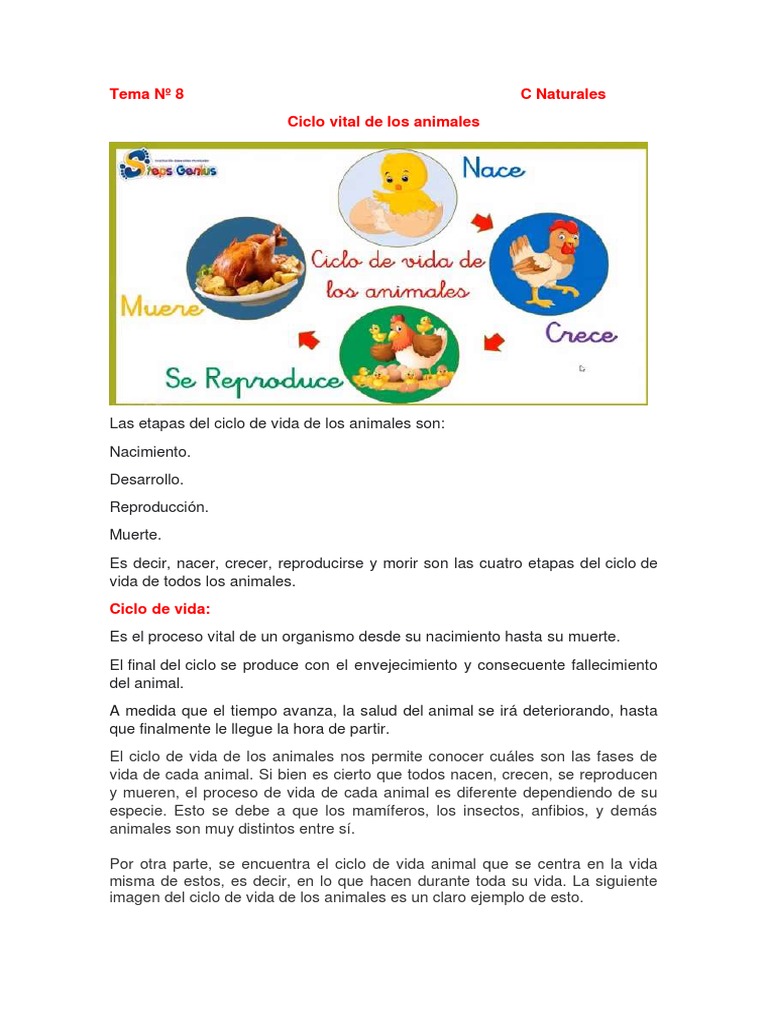 TEMA 8 Ciclo Vital de Los Animales | PDF | Relaciones personales ...