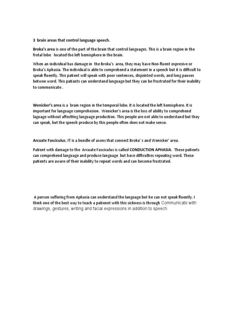 3 Brain Areas That Control Language | PDF