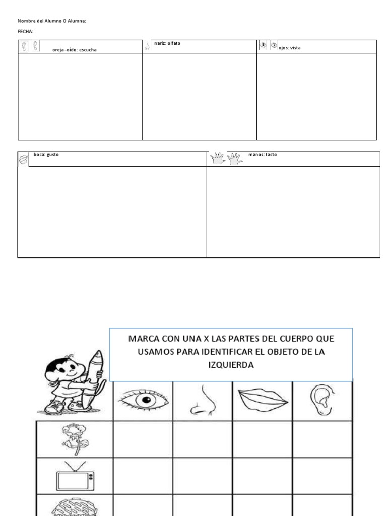 Evidencias para Trabajar El Sensorama Virtual | PDF