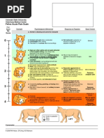CSU Canine Acute Pain Scale Guide | PDF | Pain | Diseases And Disorders
