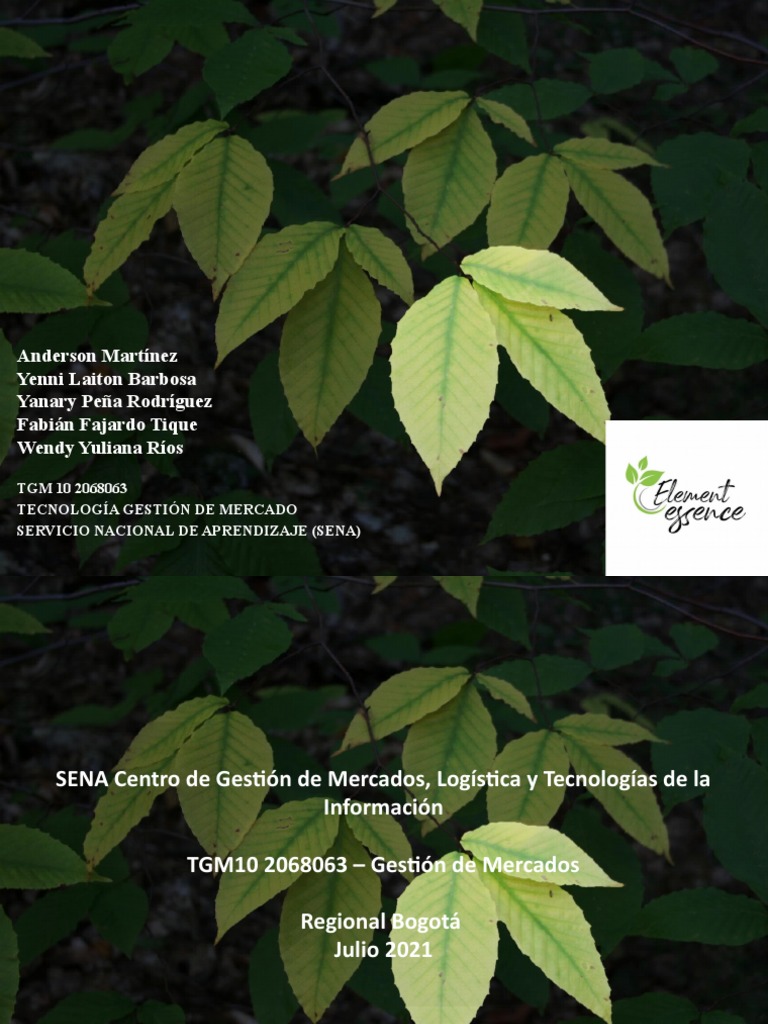 Proyecto Element Essence | PDF | Mercado (economía) | Cliente