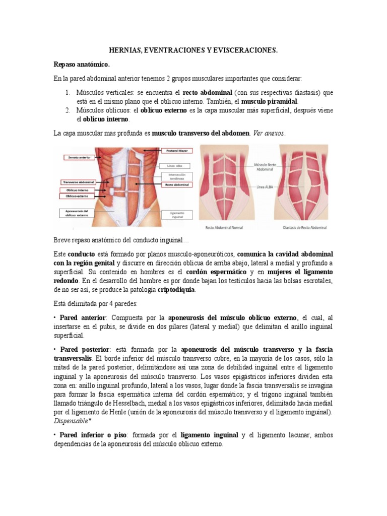Hernias, Eventraciones y Evisceraciones | PDF | Abdomen | Cirugía