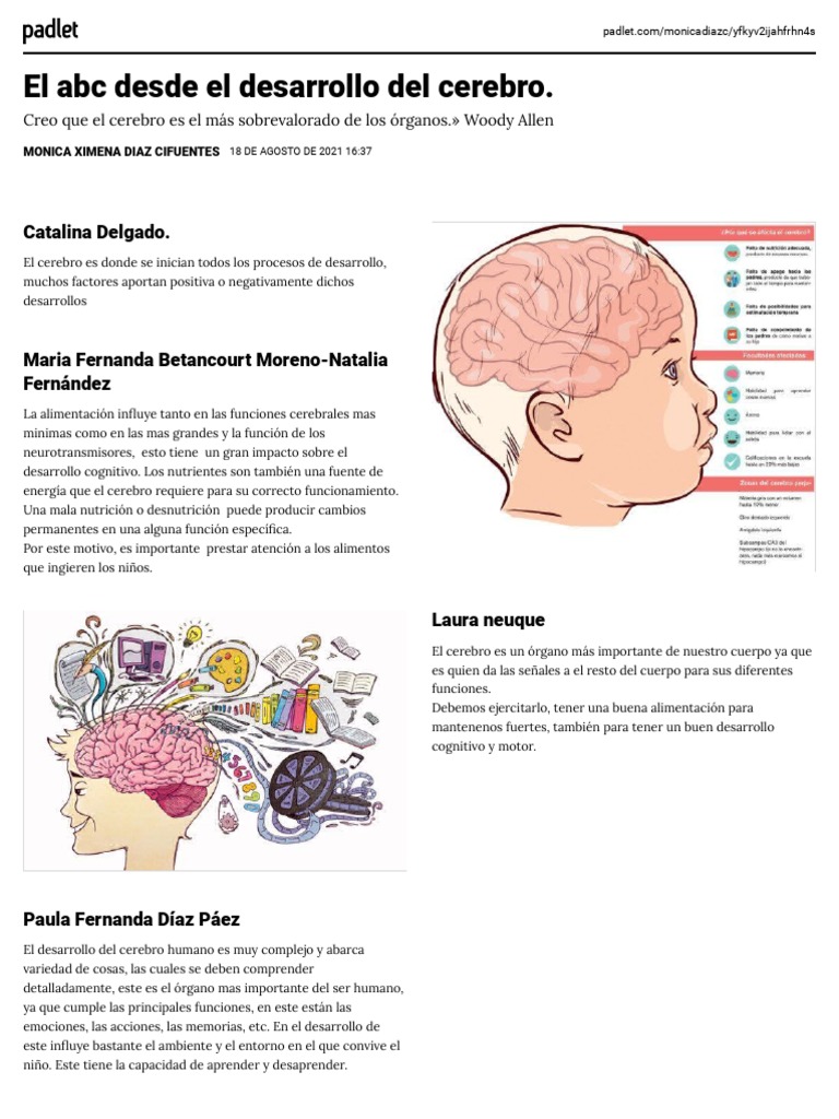 El Abc Desde El Desarrollo Del Cerebro. | PDF | Cerebro | Aprendizaje