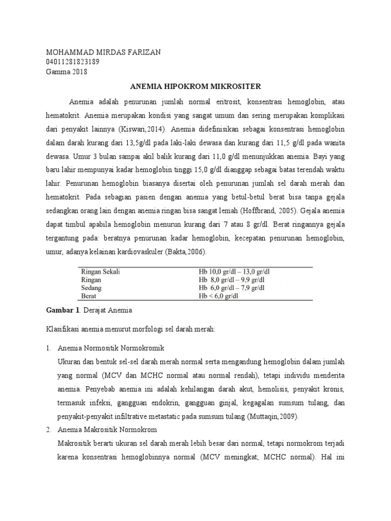 Anemia Hipokrom Mikrositer | PDF