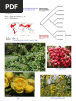 Poliaminas, Biosíntesis de Putrescina, Espermina, Espermidina | PDF ...