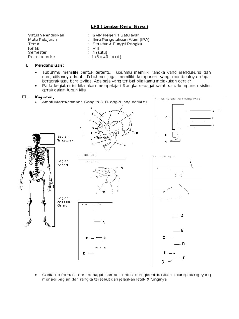 LKS Rangka Otot | PDF