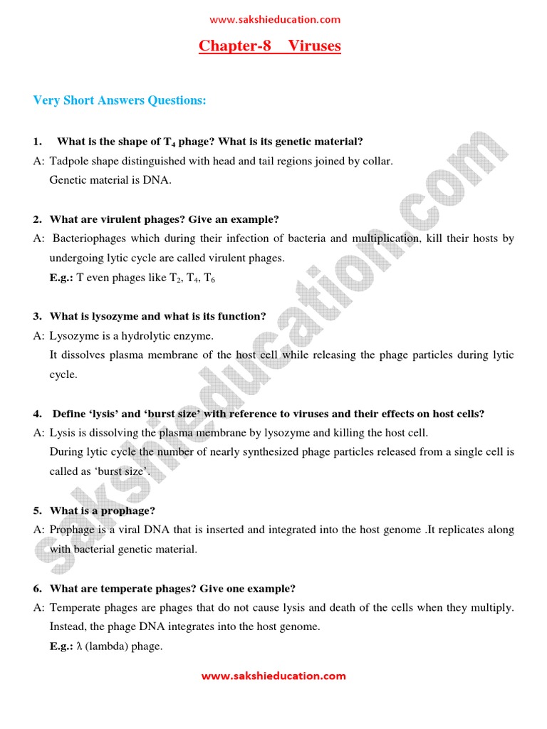 Chapter-8 Viruses: Very Short Answers Questions | PDF | Bacteriophage ...