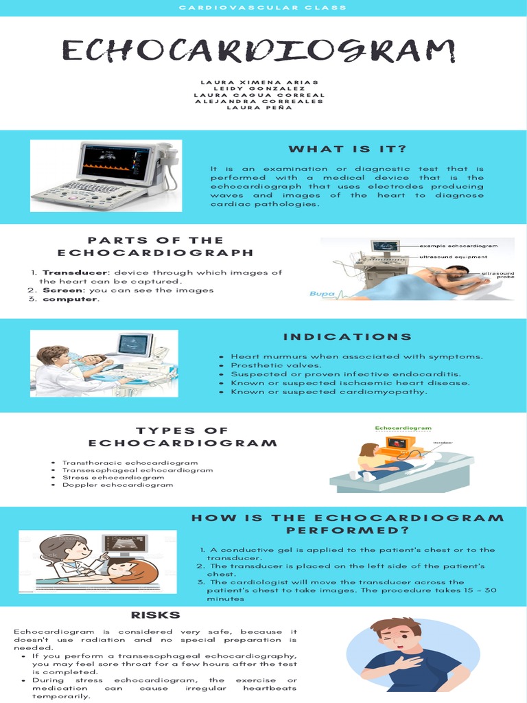 Echocardiogram | PDF | Echocardiography | Cardiovascular Diseases