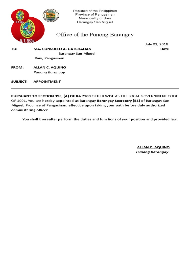 Appointment Treasurer | PDF | Government | Philippines