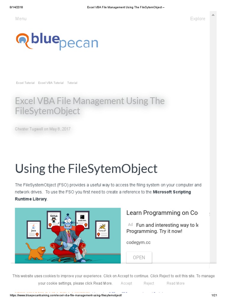 Excel Vba File Management Using The Filesytemobject Pdf Microsoft Excel Cookie