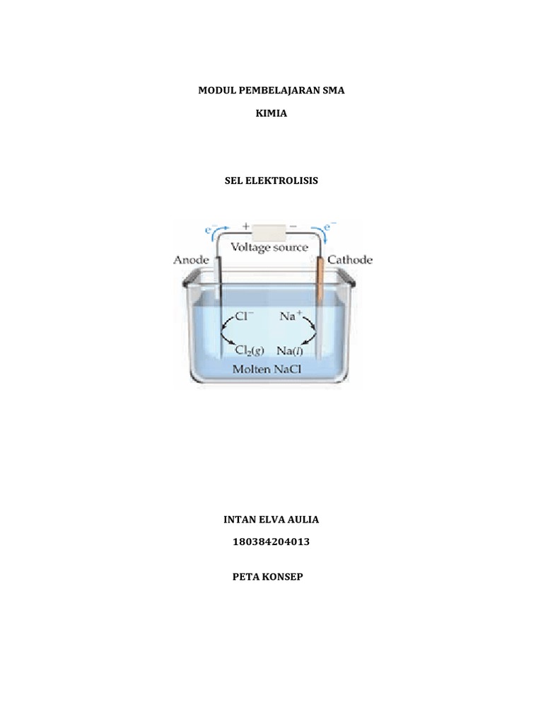 Modul Sel Elektrolisis | PDF