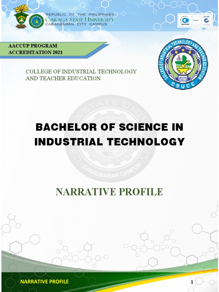 Narrative Profile Sample Template | PDF | Libraries | Teaching