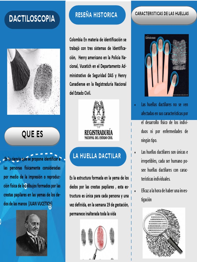 Huellas Dactilares | PDF | Huella dactilar | Técnicas de aplicación de ...