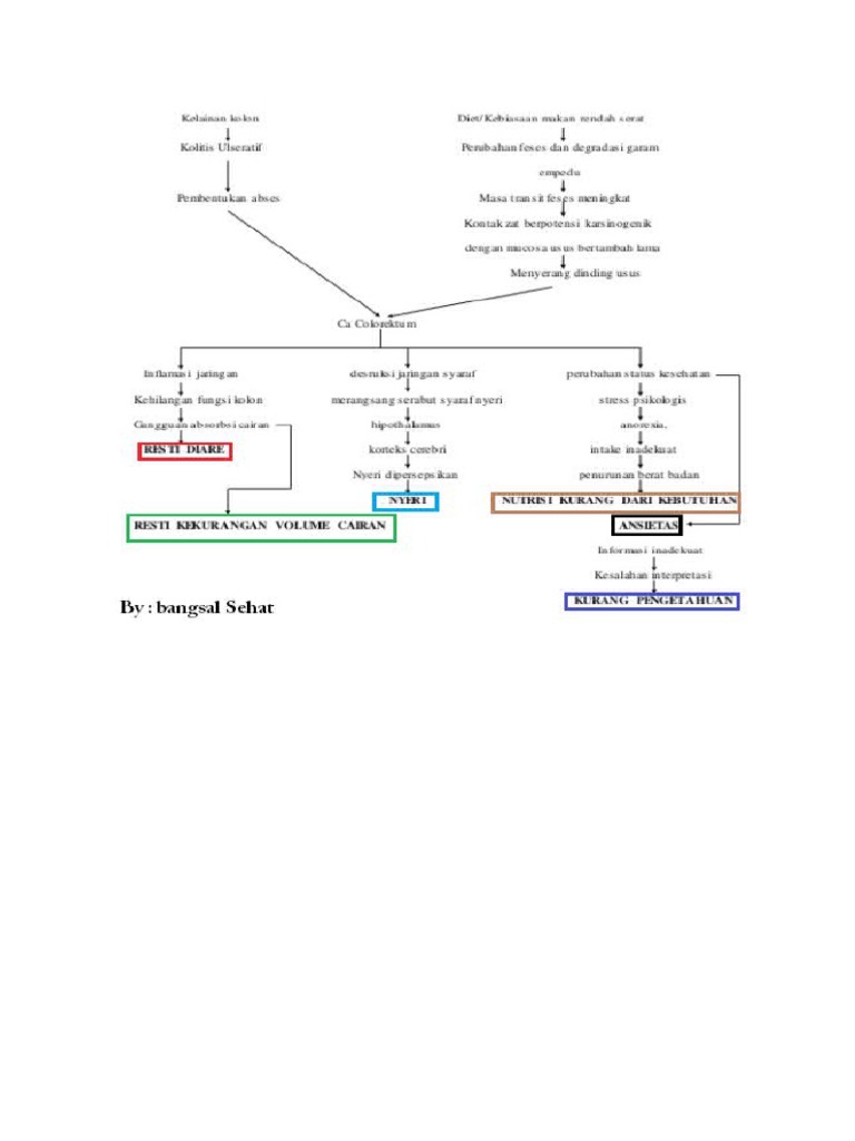Pathway CA Colon | PDF
