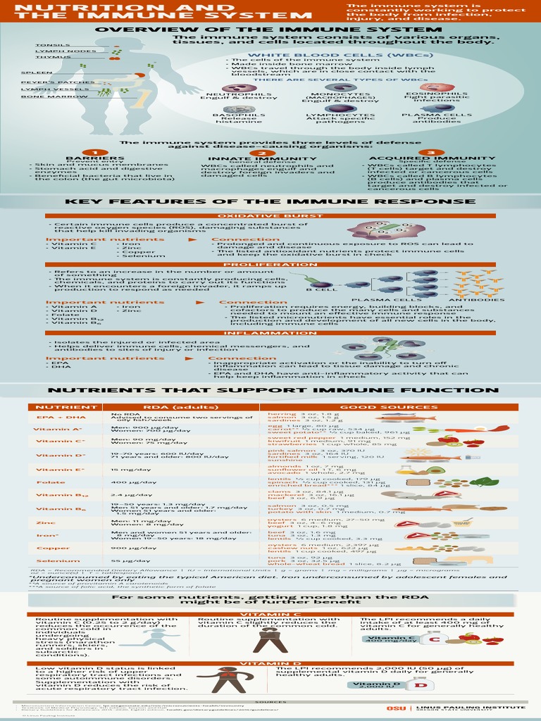 Lpi Immunity Infographic 0 | PDF | White Blood Cell | Immune System