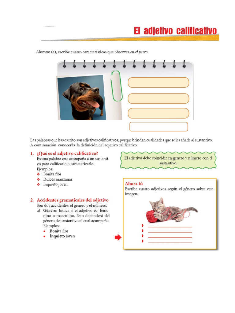 Ejercicios de Adjetivos Calificativos | PDF | Artes del Lenguaje y ...