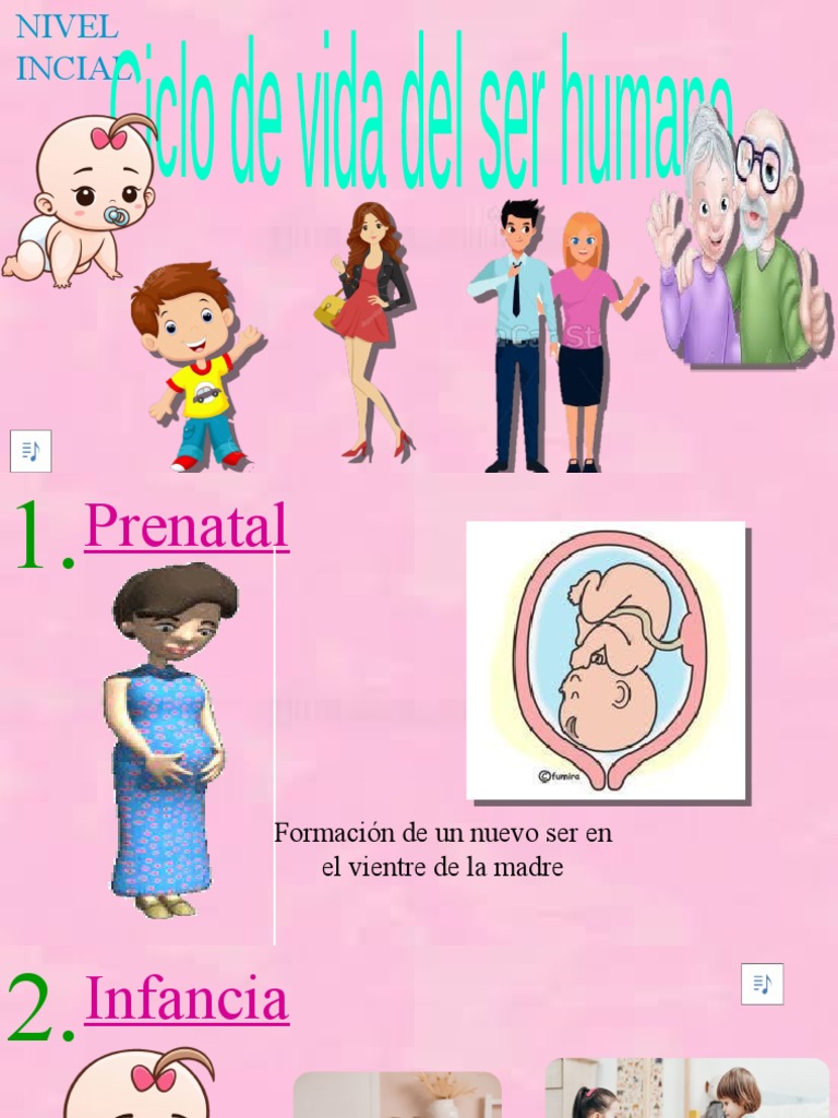 Ciclo de Vida Del Ser Humano | PDF | Relaciones personales, crianza y ...