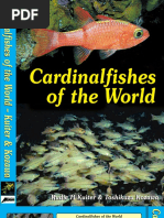 Coral Identification Guide for Divers | PDF | Coral | Coral Reef