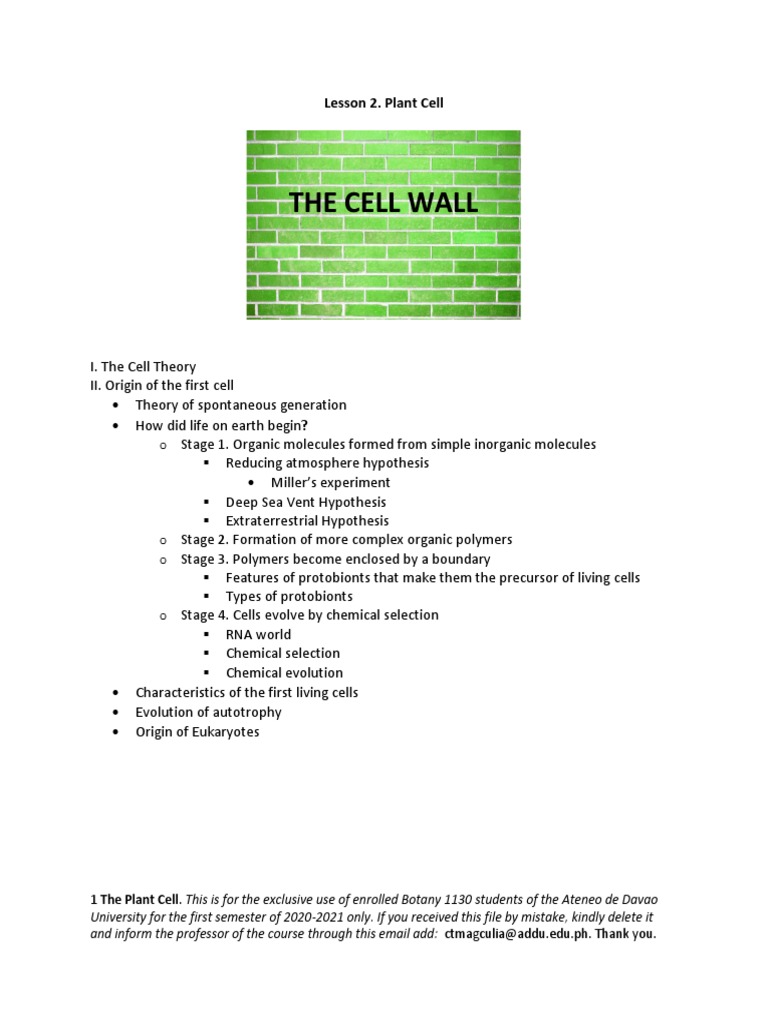 Plant Cell Outline | PDF | Cell (Biology) | Cytoplasm