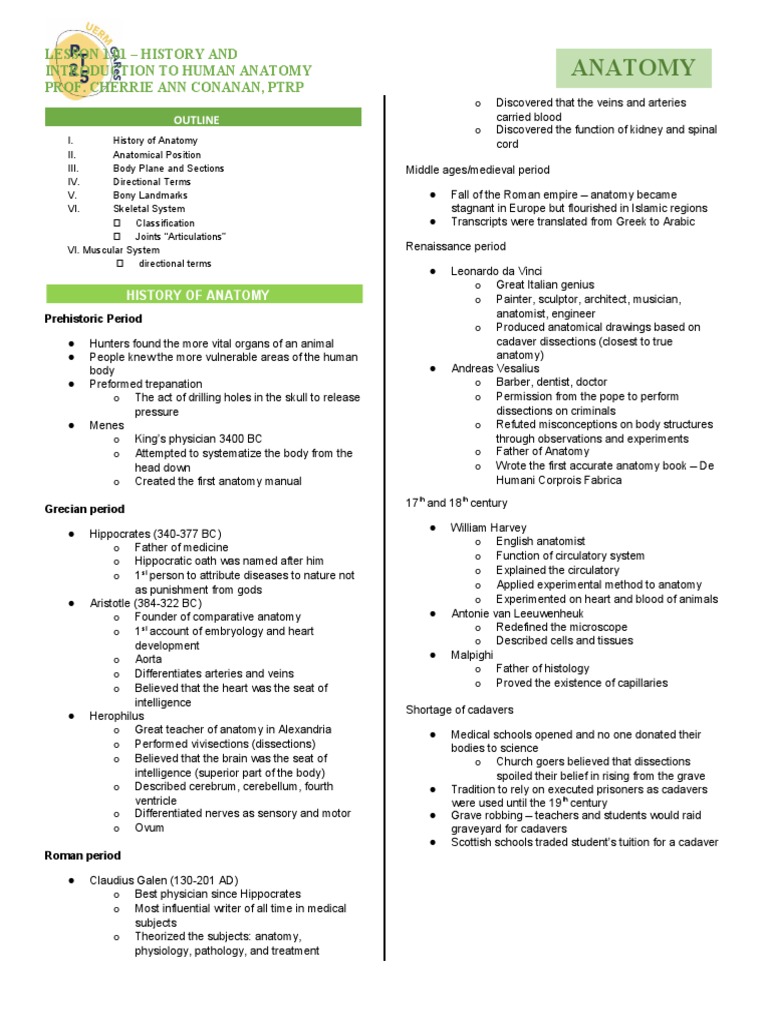 History of Human Anatomy Overview | PDF | Anatomical Terms Of Motion ...