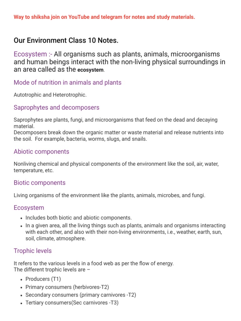 Our Environment Class 10 Notes.: Ecosystem | PDF | Food Web | Ecosystem