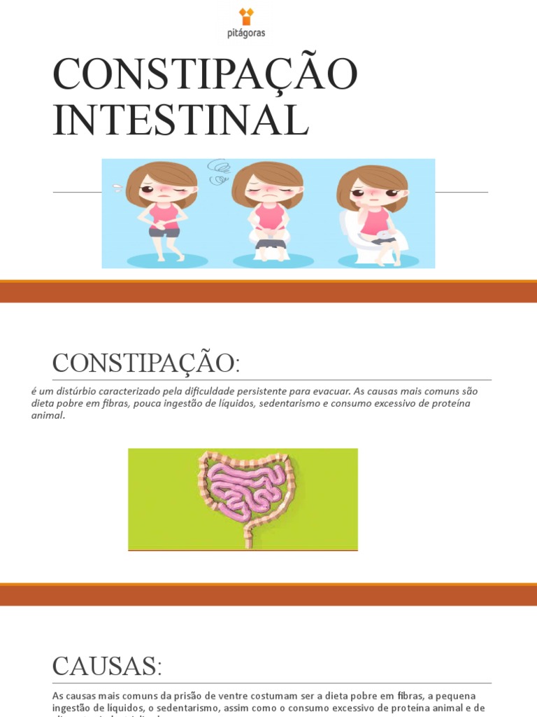 Causas e Tratamento da Constipação Intestinal | PDF