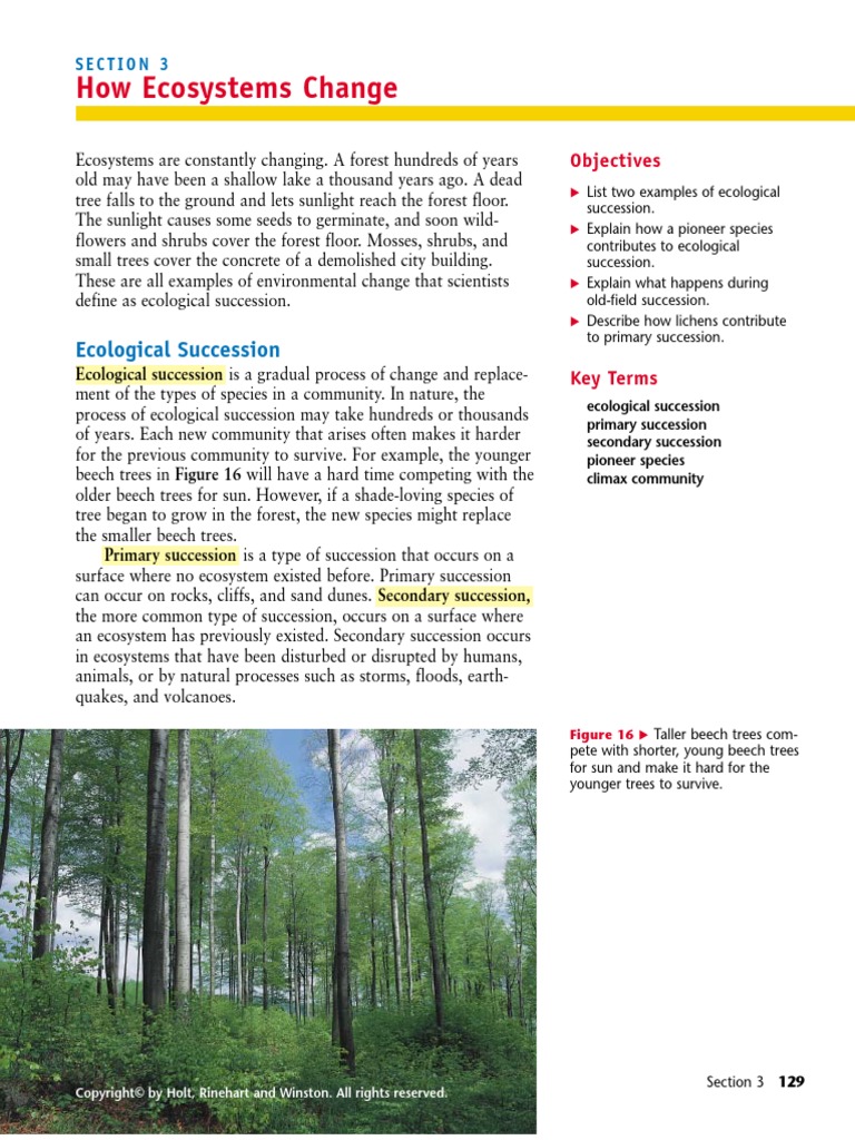 How Ecosystems Change: Ecological Succession | PDF | Ecosystem | Food Web