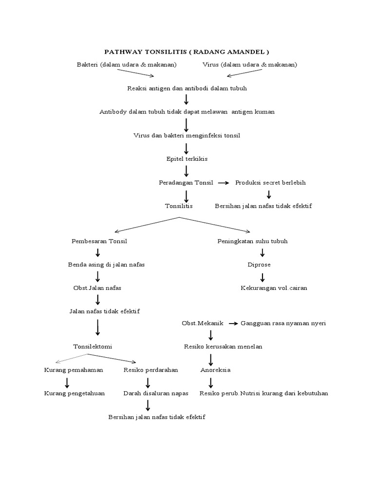 Pathway Radang Amandel | PDF