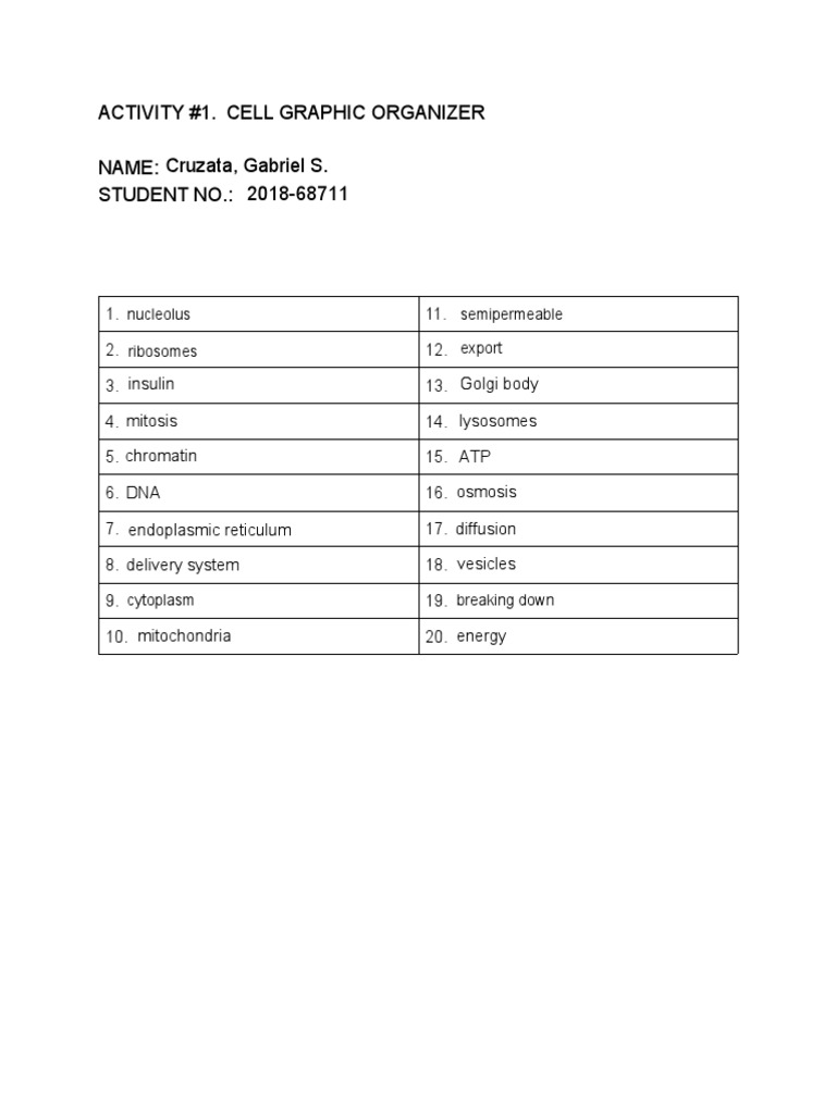 Activity #1. Cell Graphic Organizer | PDF | Science & Mathematics