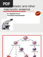 Differential Diagnosis of Cherry-Red Spot at Macula | PDF | Retina ...
