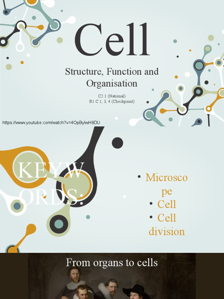 S1 C2.1 Cell - Structure, Function and Organisation | PDF | Cell ...