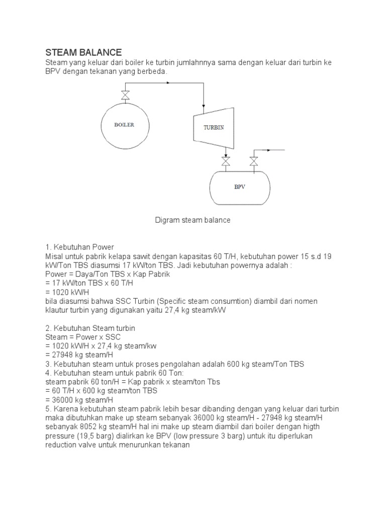 Steam Balance | PDF