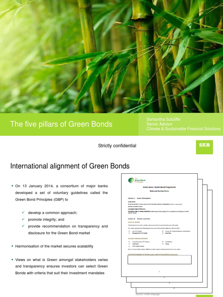 Five Pillars of Green Bonds Explained | PDF | Sustainability | Bonds ...