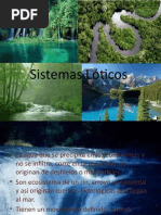 Ecosistemas Lénticos y Lóticos | PDF | Ecosistema | lago