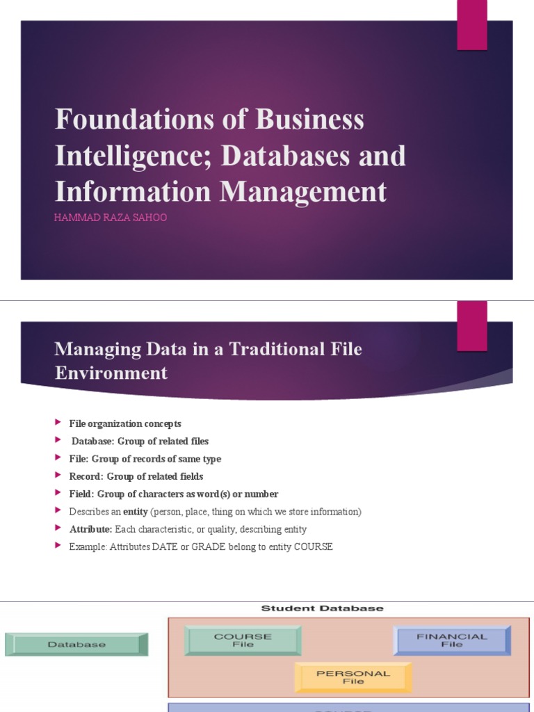 Foundations of Business Intelligence | PDF | Databases | Internet & Web