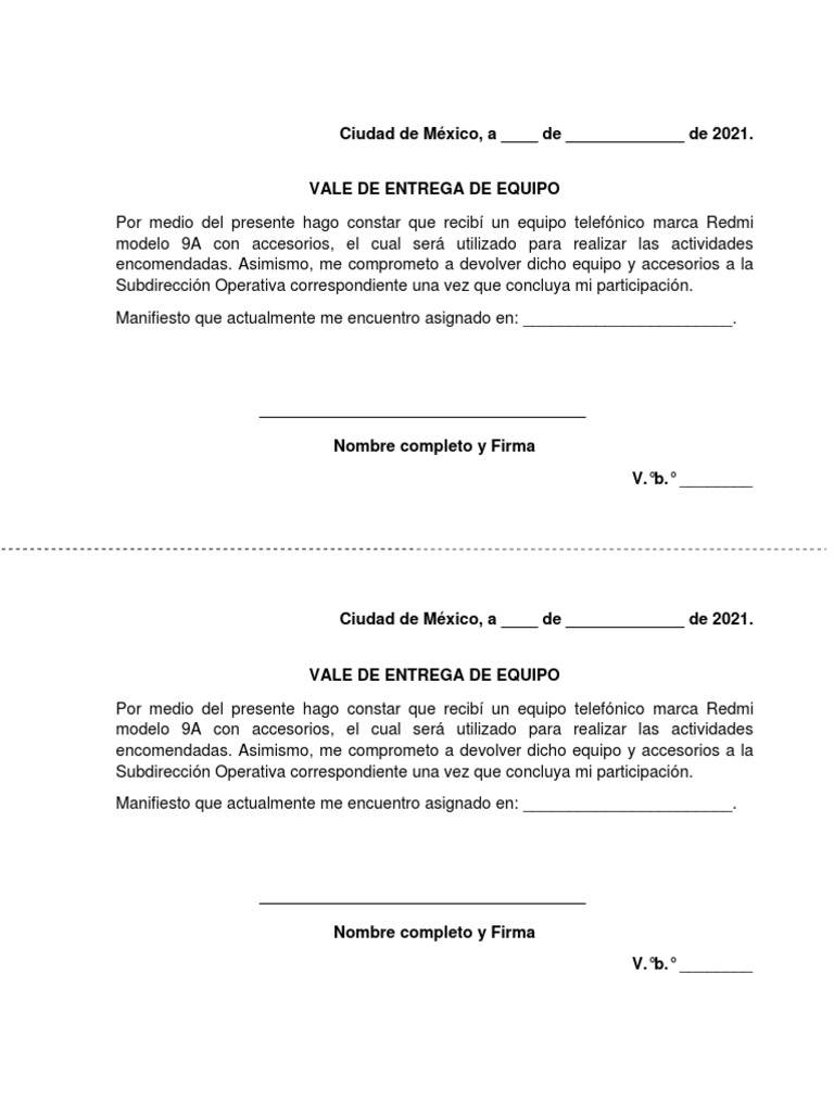 Formato Vale de Entrega-Vales de Almacen | PDF