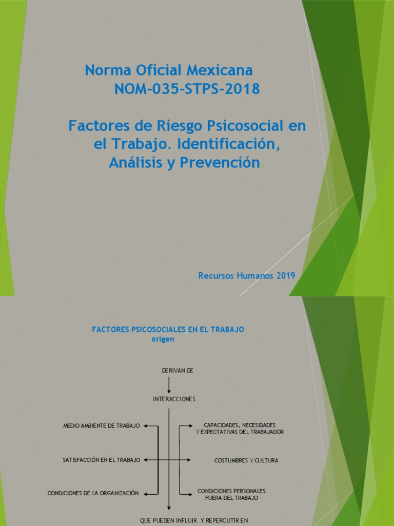 Norma Oficial Mexicana NOM 035 STPS 2018 | PDF | Estrés (biología ...