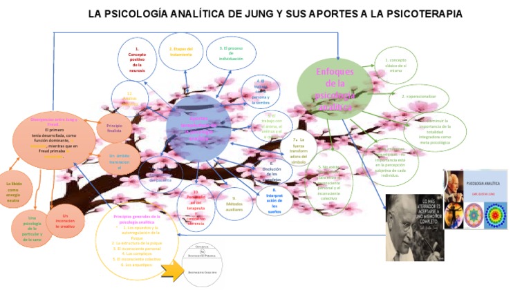 Aportes de Jung a la Psicoterapia | PDF | Psicologia analitica | Carl Jung