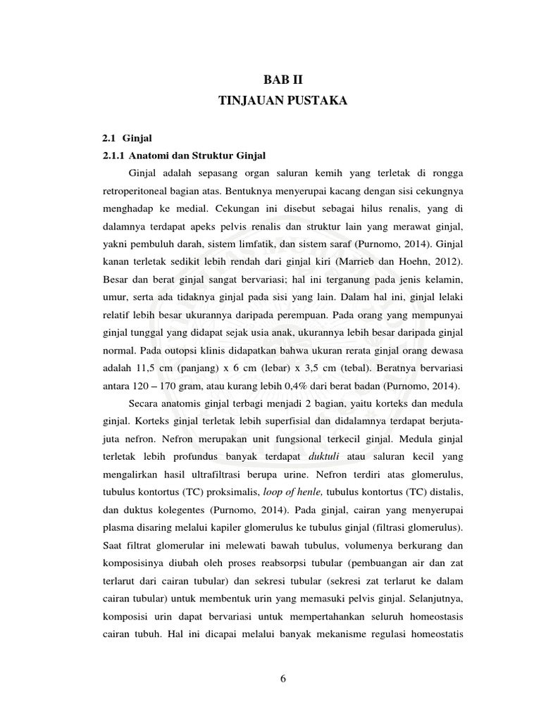 Jiptummpp GDL Tyapratiwi 48788 3 Babii | PDF