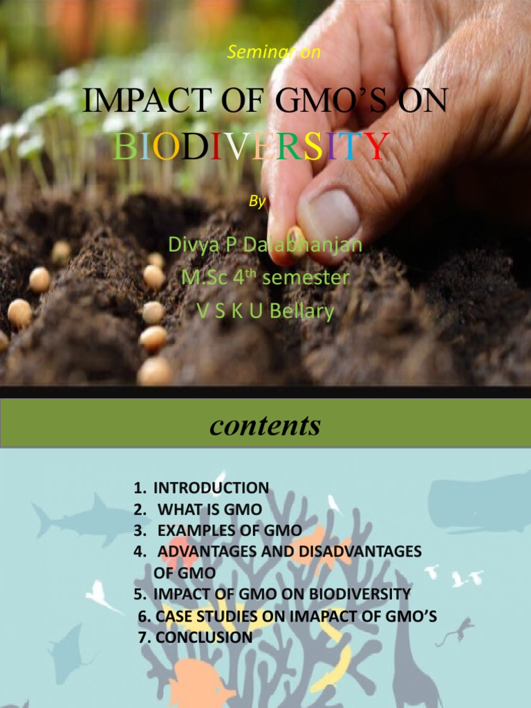 Impact of Gmo's On Biodiversity | PDF | Genetically Modified Food ...