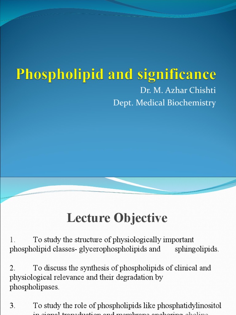 Lec5-6 Phospholipid | PDF | Phospholipid | Biosynthesis