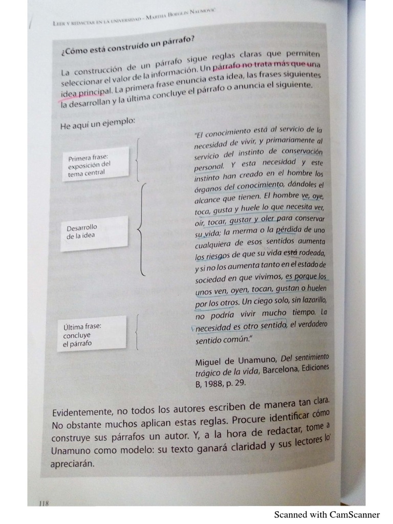 Estrategias de Lectura LL | PDF