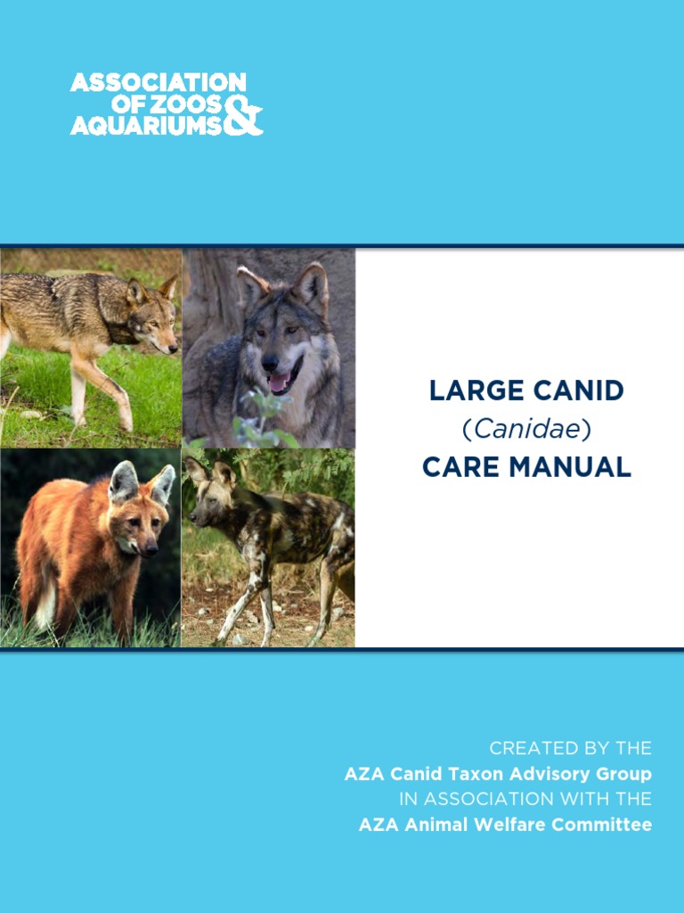Large Canid Care Manual 2012r | PDF | Canis | Canidae