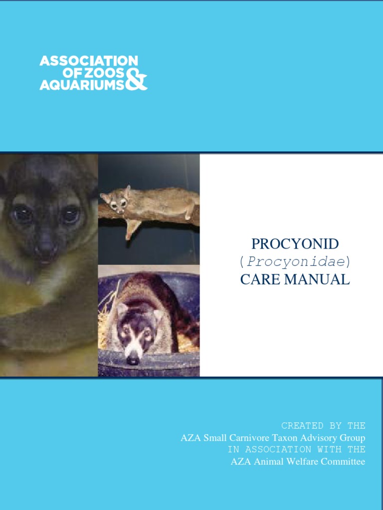 Procyonid (Procyonidae) Care Manual | PDF | Raccoon | Humidity