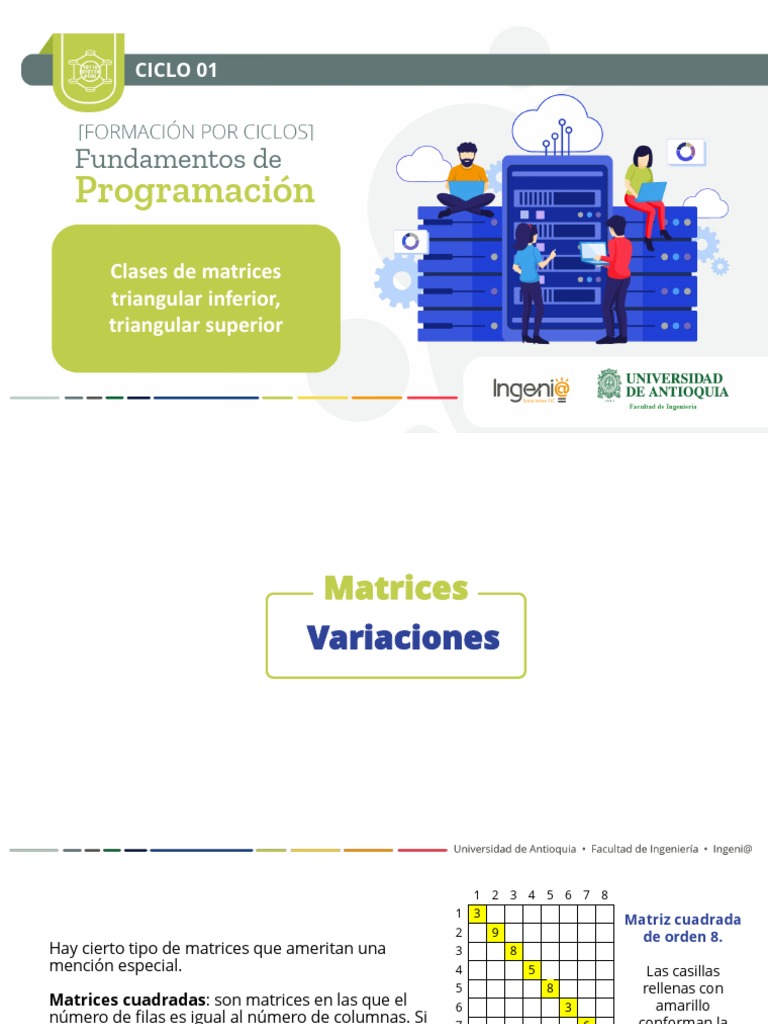 Clases de Matrices Triangular Inferior, Triangular Superior | PDF ...