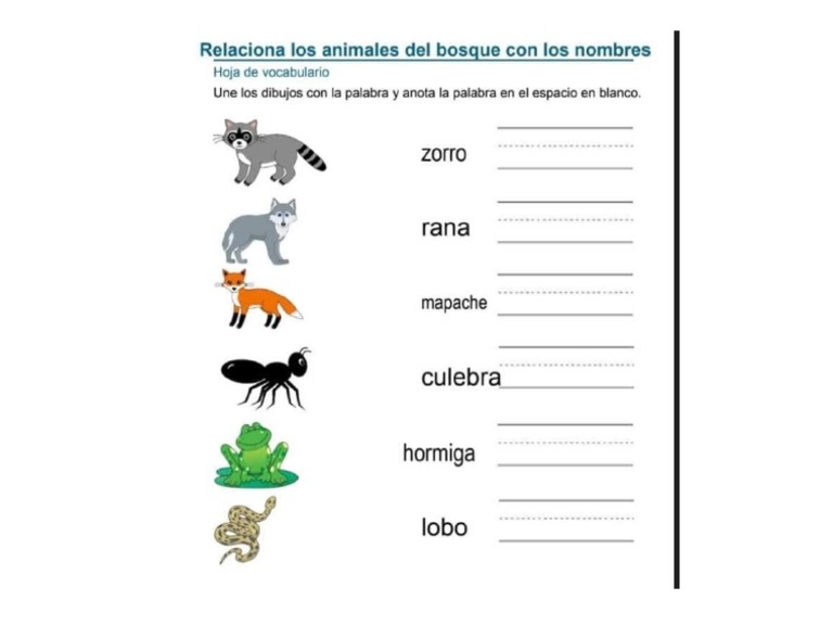 Vocabulario de Animales | PDF