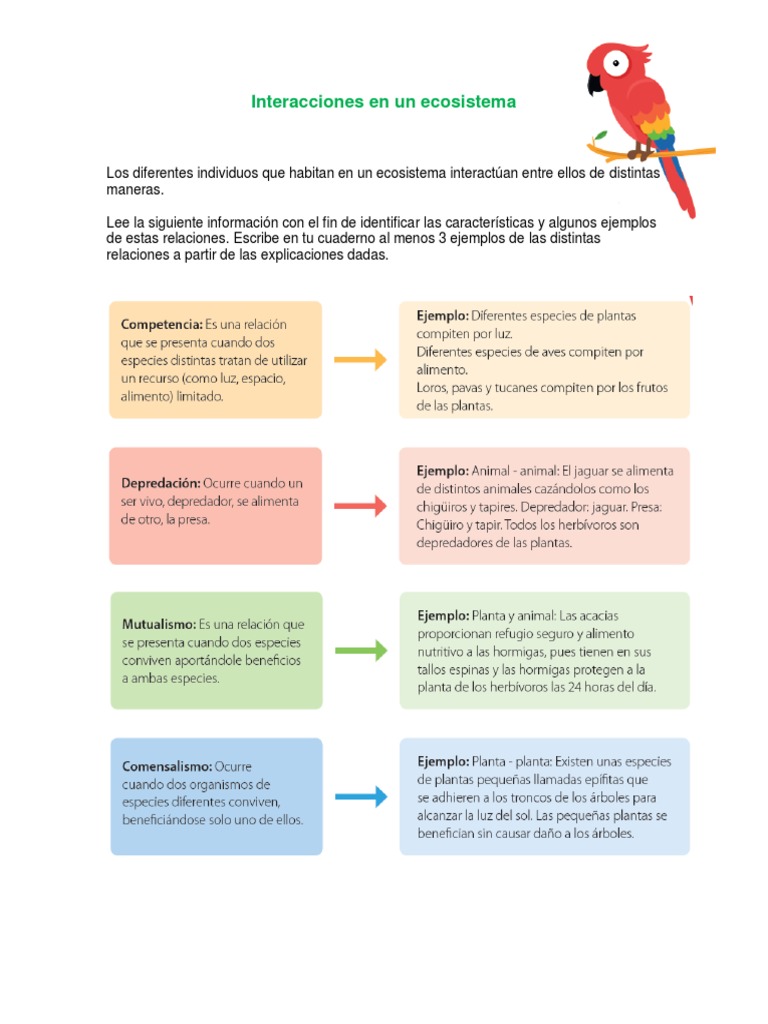 Interacciones en Ecosistemas: Ejemplos | PDF