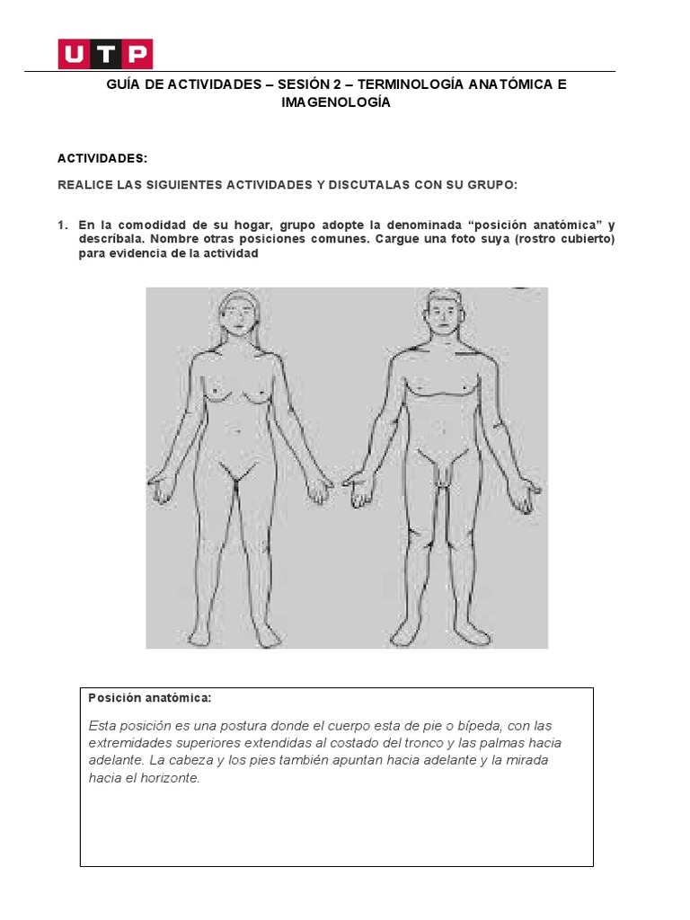 S01. s2 Resolver Ejercicios Semana 1 Tema 2 | PDF | Términos anatómicos de ubicación | Sistema ...
