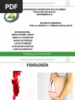 Hemorragia Obstétrica Código Rojo PROTOCOLO | PDF | Choque ...